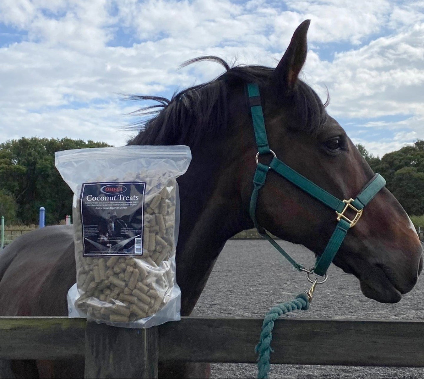 Omega for Treats | Omega Equine Supplements