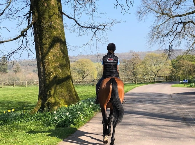 Omega for Calm – Omega Equine Supplements