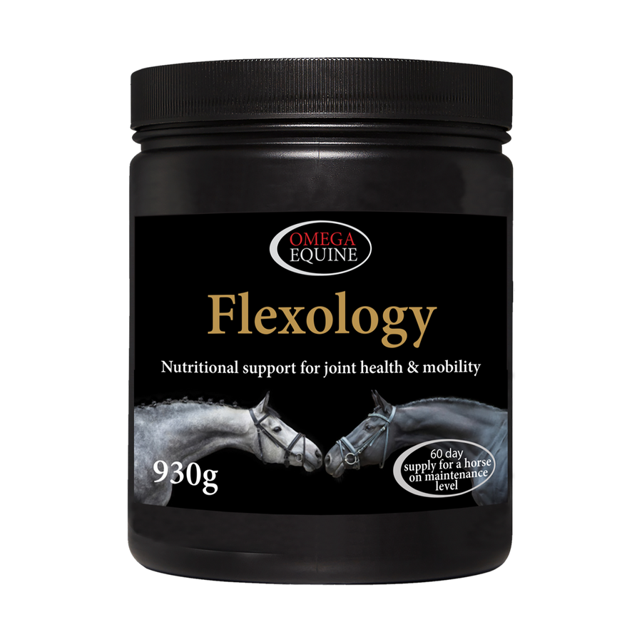 Horse Joint Supplements | Omega Equine – Omega Equine Supplements