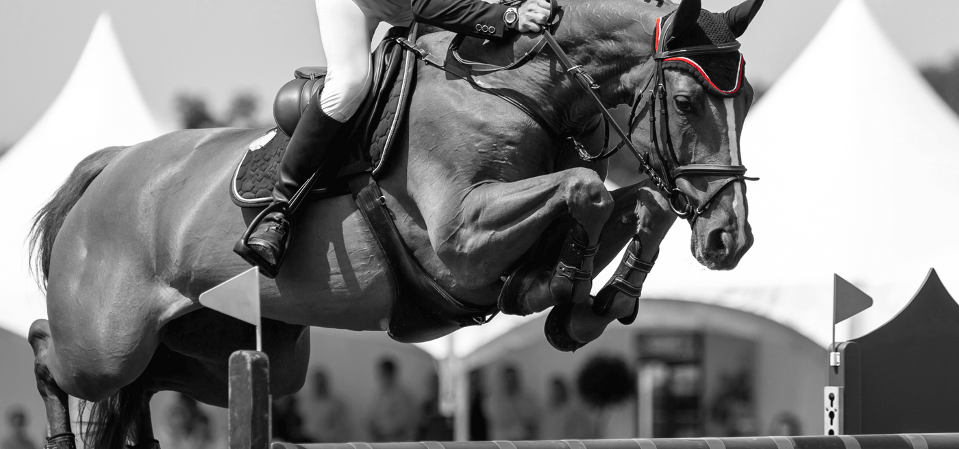 Omega Equine Nutritional Supplements - Healthy Happy Horses – Omega ...