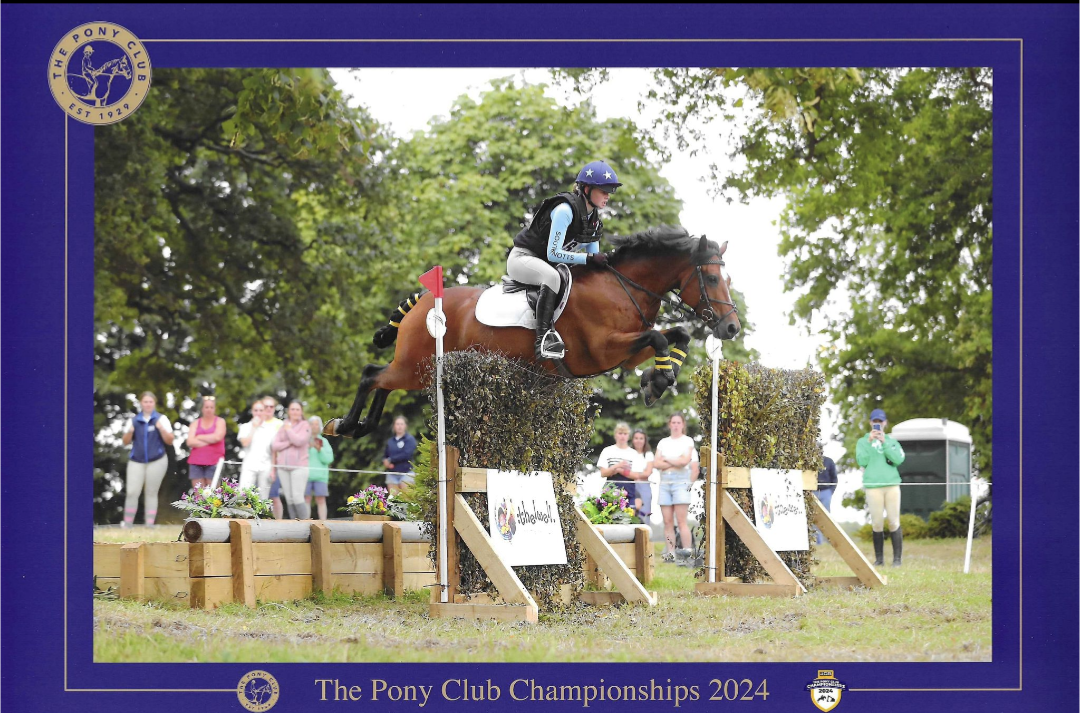 Meet the Omega Equine Brand Ambassadors | Omega Equine Supplements