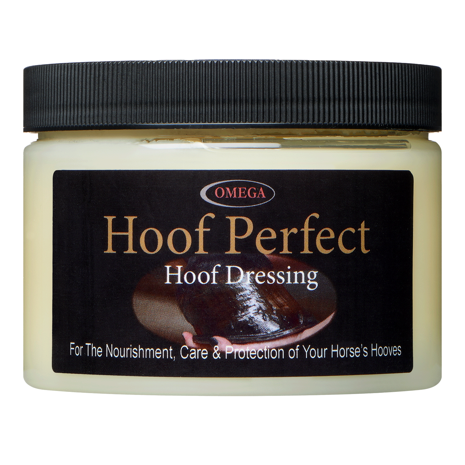 Omega Hoof Perfect | Omega Equine Supplements